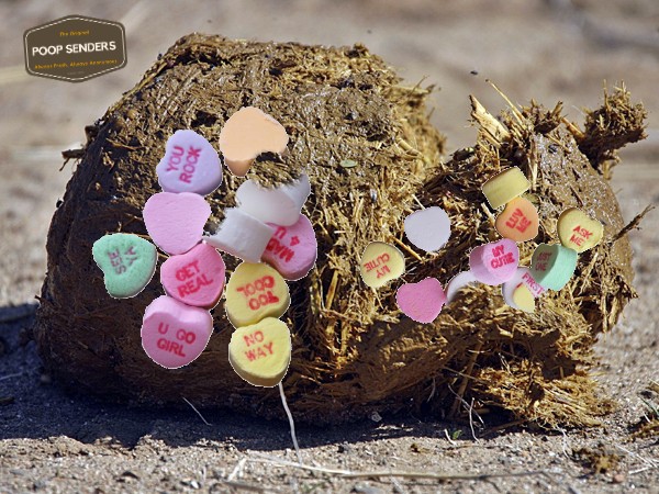 Poop Senders - The ULTIMATE Gag Gift - SWEET Revenge at its FINEST
